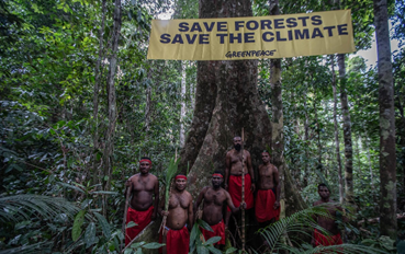 Kearifan Lokal: Peran Masyarakat Adat dalam Pengelolaan Hutan ...